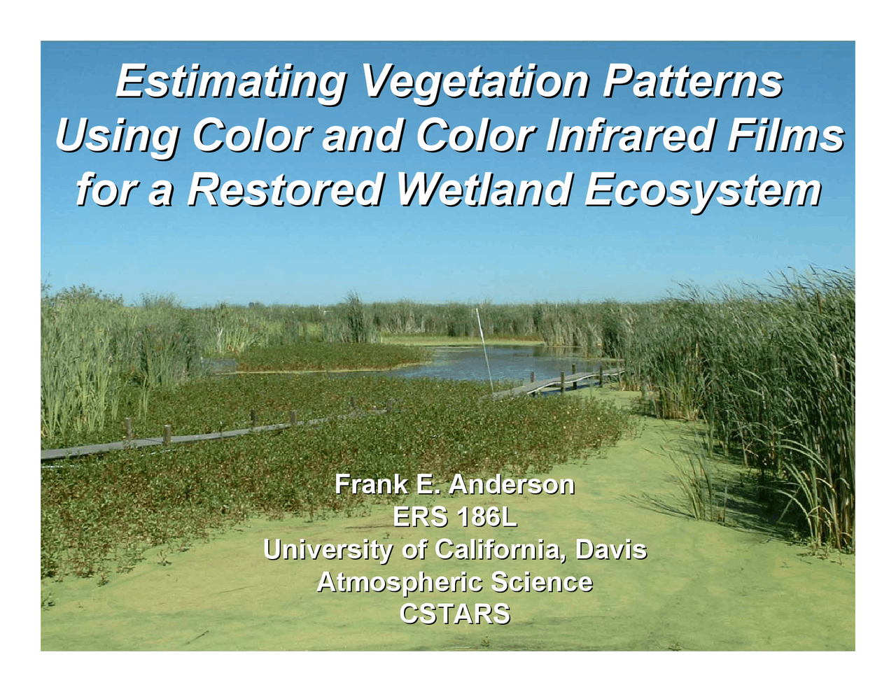 Estimating Vegetation Patterns in Restored Wetlands using Color and ...