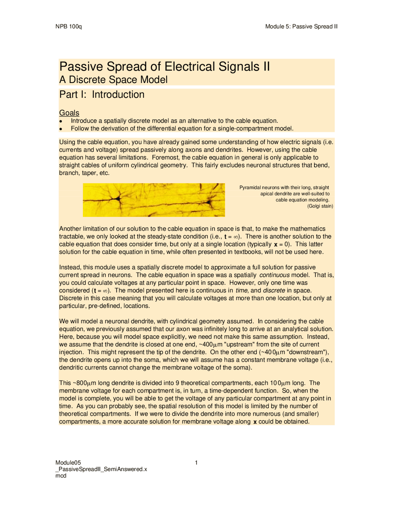 Assignment On Passive Spread Of Electrical Signals Ii Neurobiology