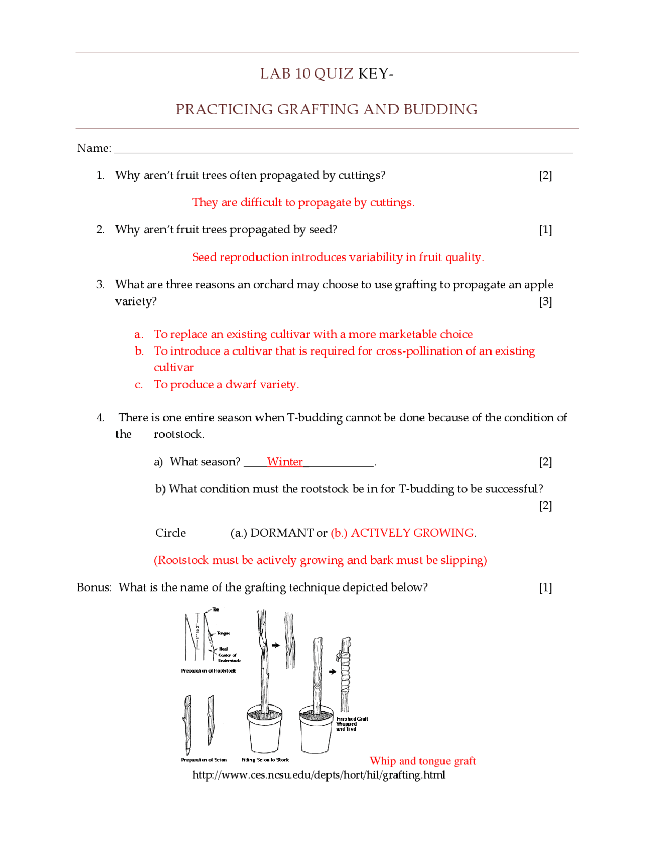 Practicing Grafting And Budding Lab 10 Quiz Key Hort 20100 Docsity