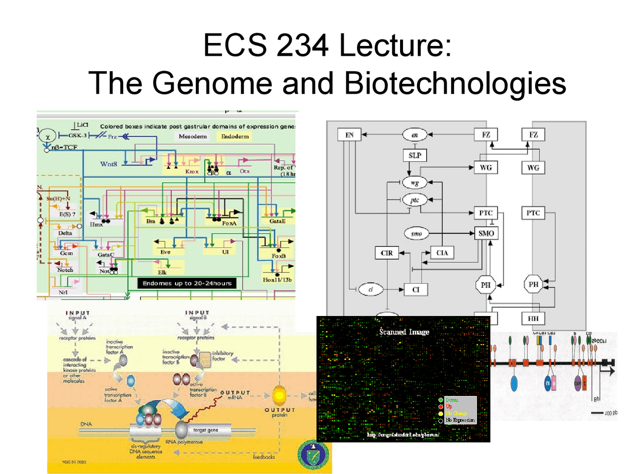 The Genome And Biotechnologies Lecture Slides Ecs 234 Docsity