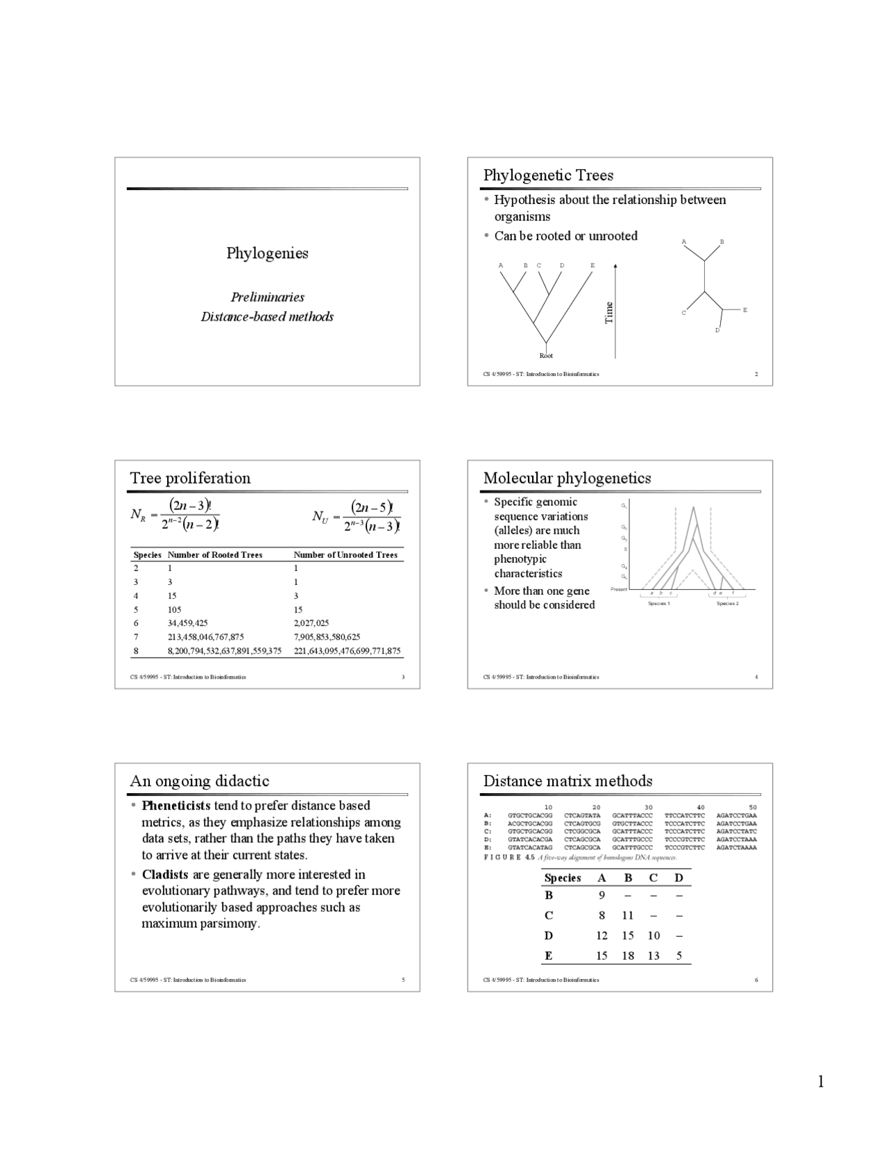 Phylogenies Trees - Lecture Slides | CS 49995 - Docsity