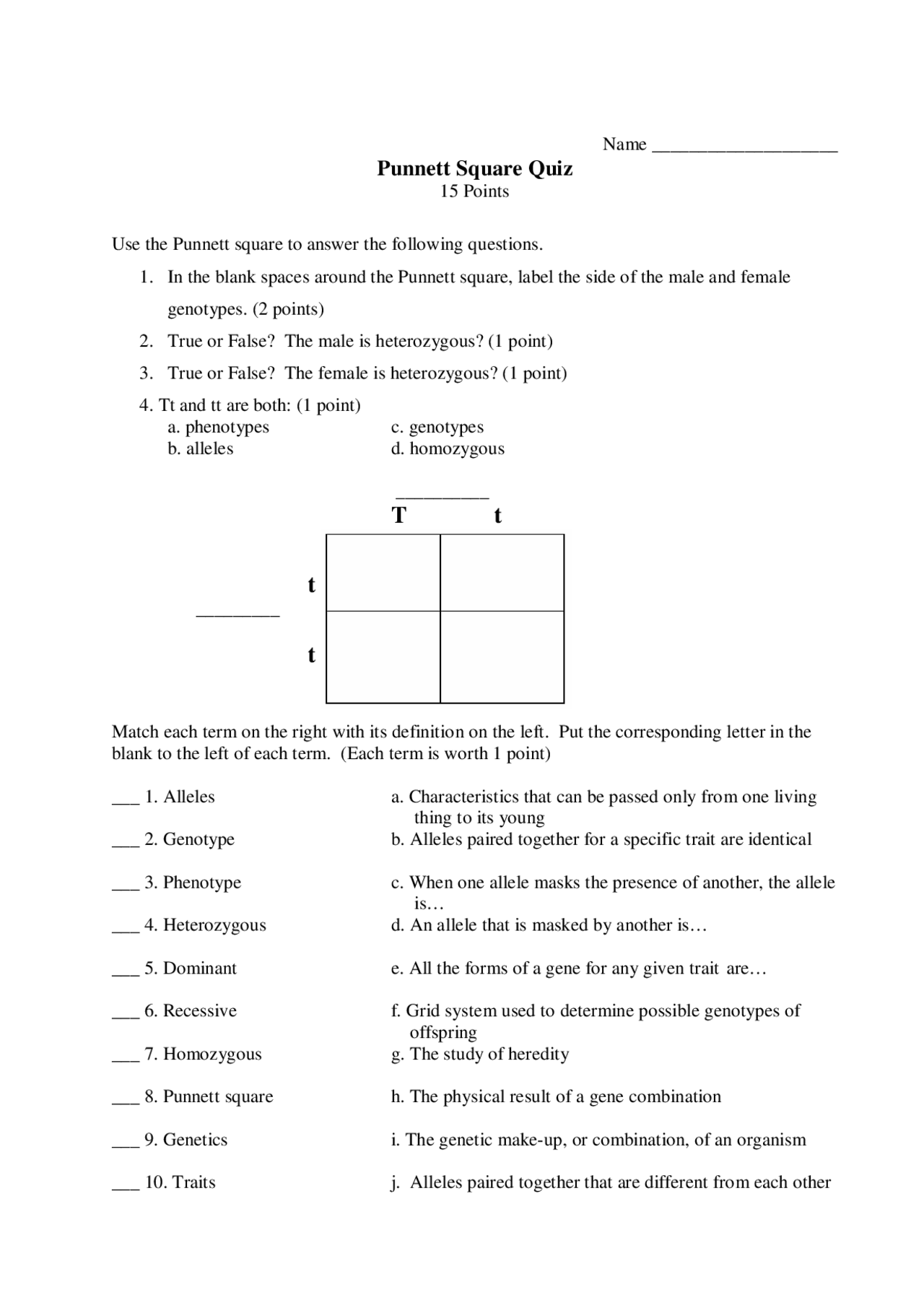 Punnett Square Quiz Computing For Teachers Cs 255 Docsity