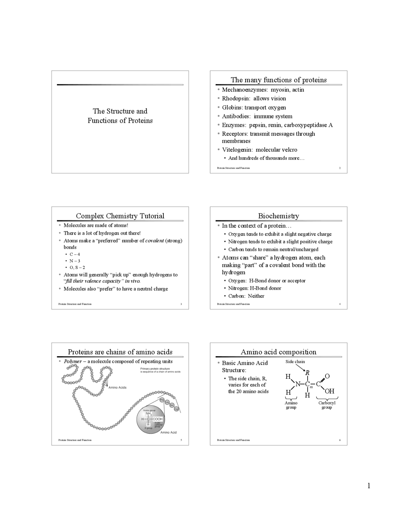 The Structure And Functions Of Proteins Lecture Slides Cs 49995