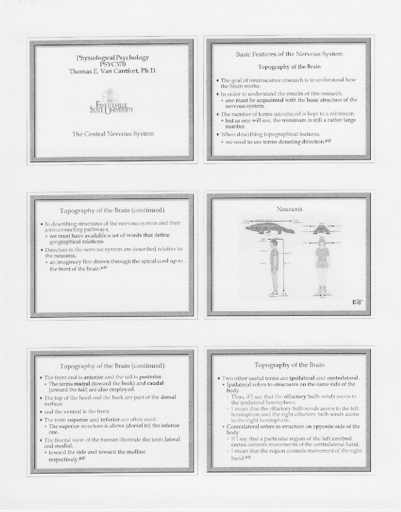 The Central Nervous System Lecture Slides Psyc 370 Docsity