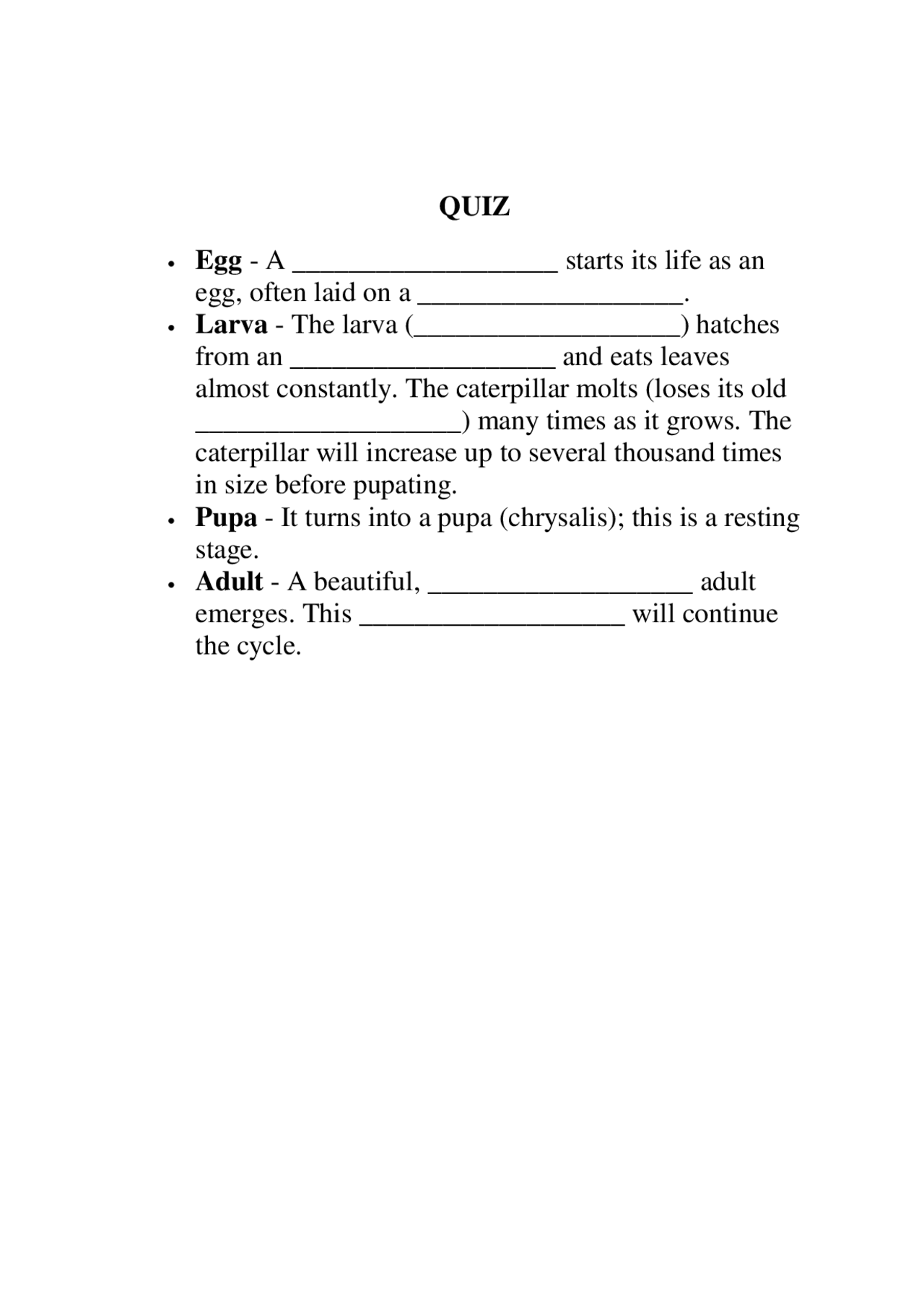 Quiz Questions On Computing For Teachers Cs 255 Docsity