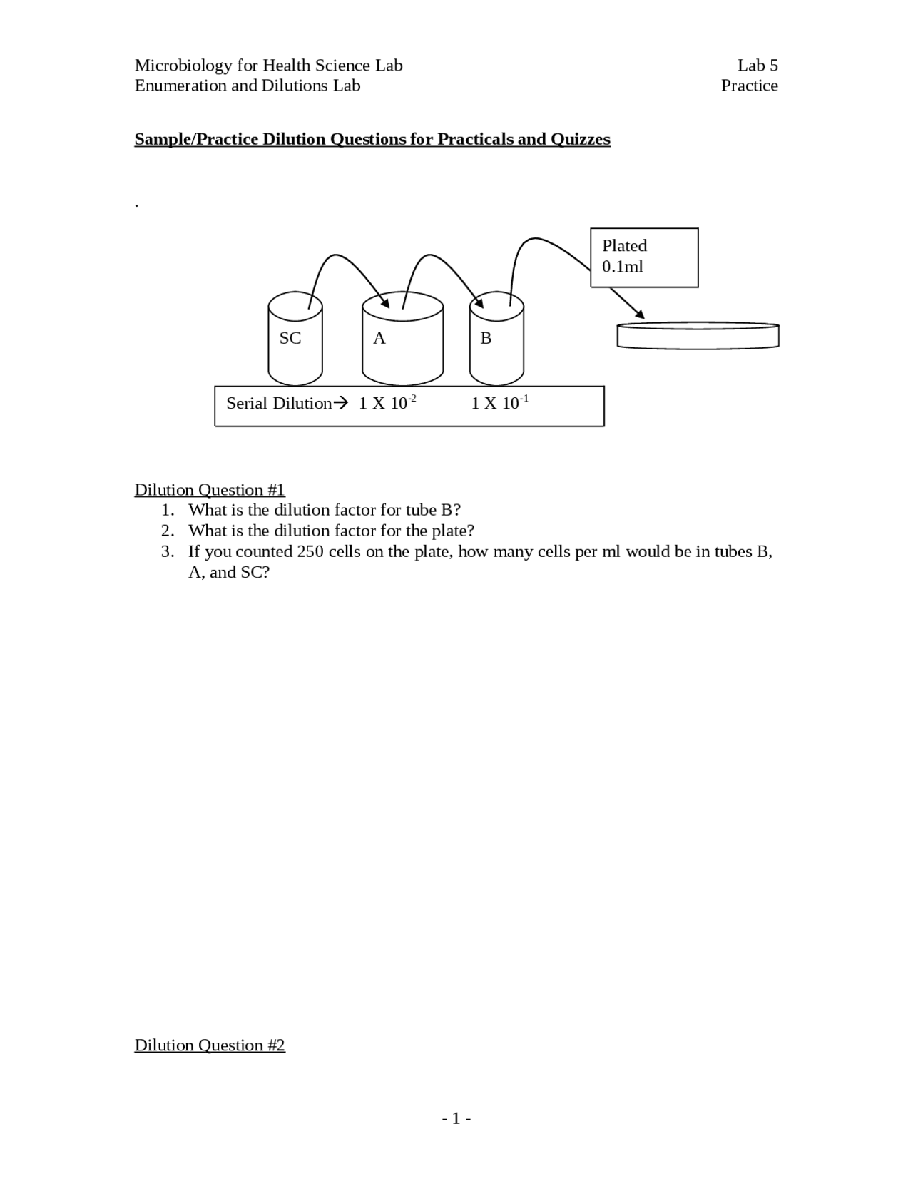 Practice Questions For Quizzes Microbiology For Health Science Lab