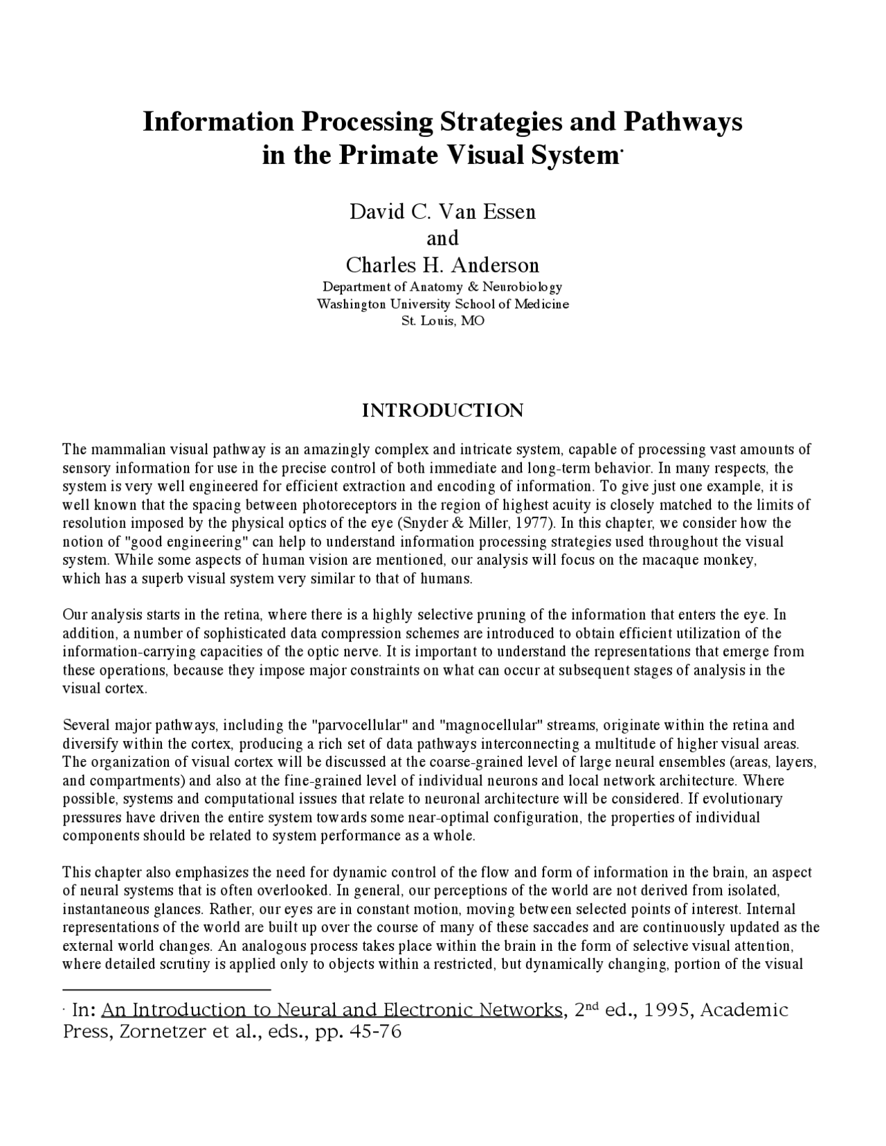 Information Processing Strategies and Pathways in Visual System | ECE 8833 - Docsity