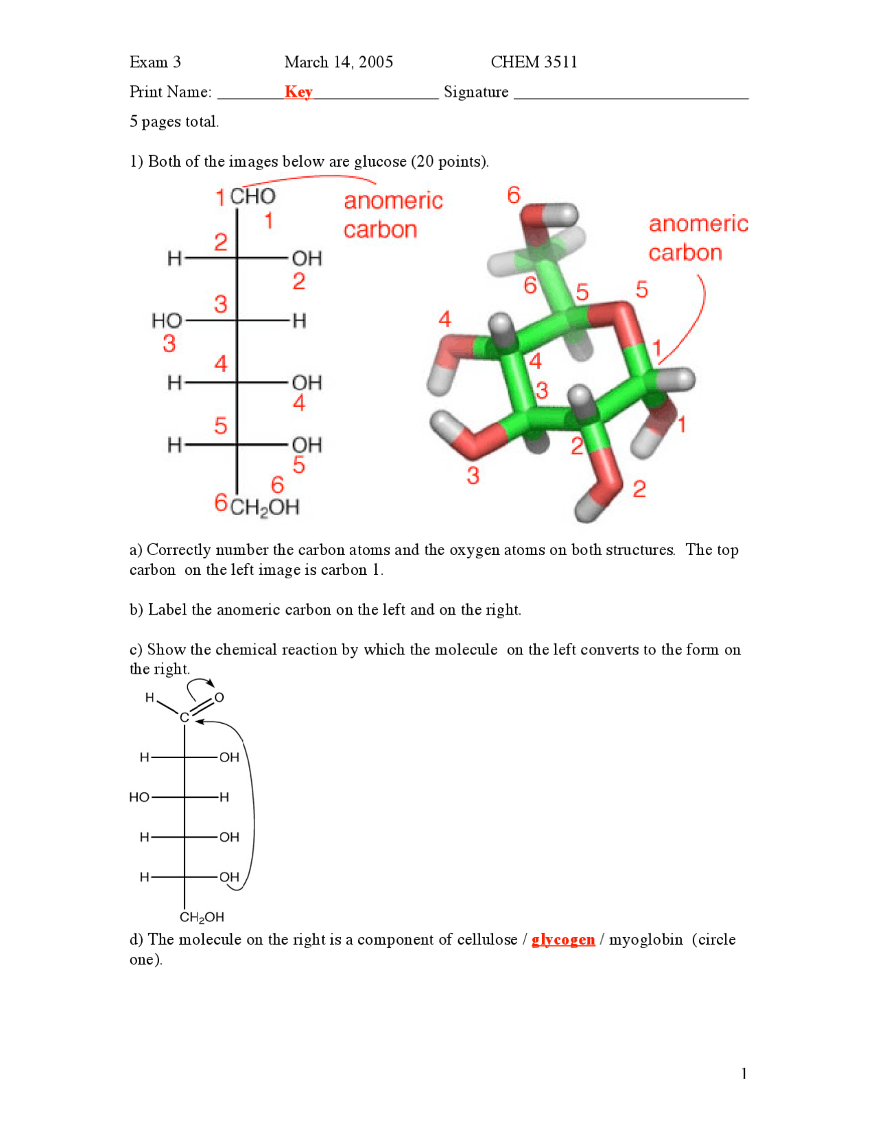 Exam 3 With Solution Key Survey Of Biochemistry Chem 3511 Docsity