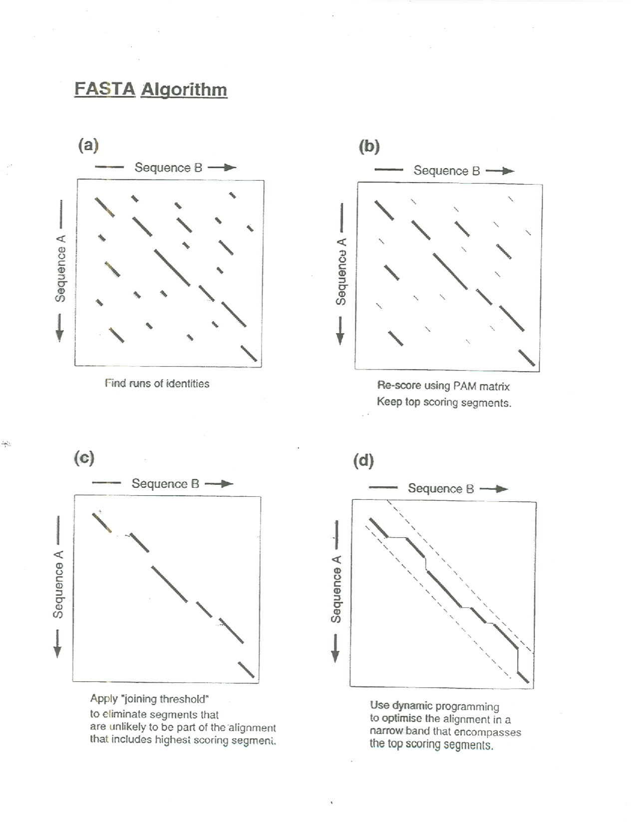 Notes On Fasta Algorithms Bioinformatics Biol 7023 Docsity
