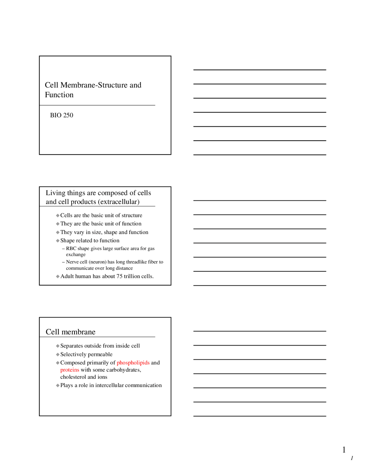 Cell Membrane Structure And Function Lecture Slides Bio 250 Docsity