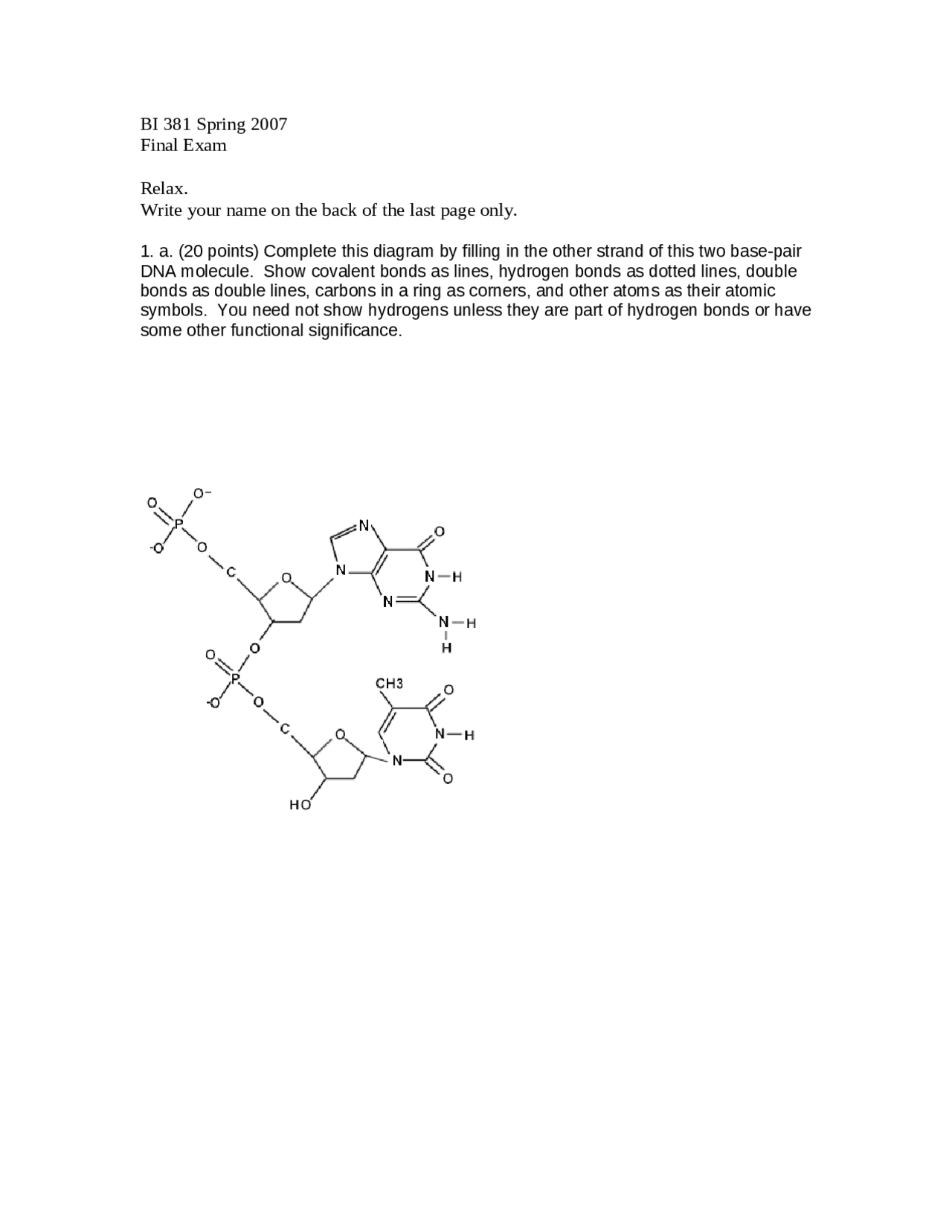 7 Questions In Final Exam Molecular Genetics Bi 381 Docsity