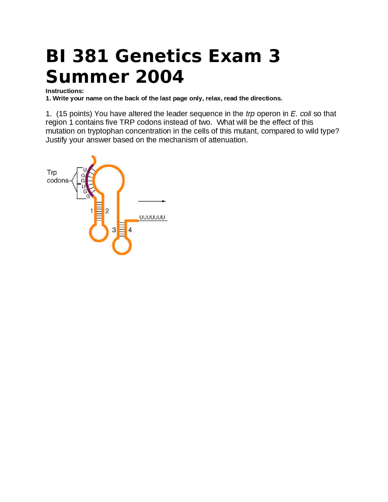 Exam 3 Practice Problems Molecular Genetics Bi 381 Docsity