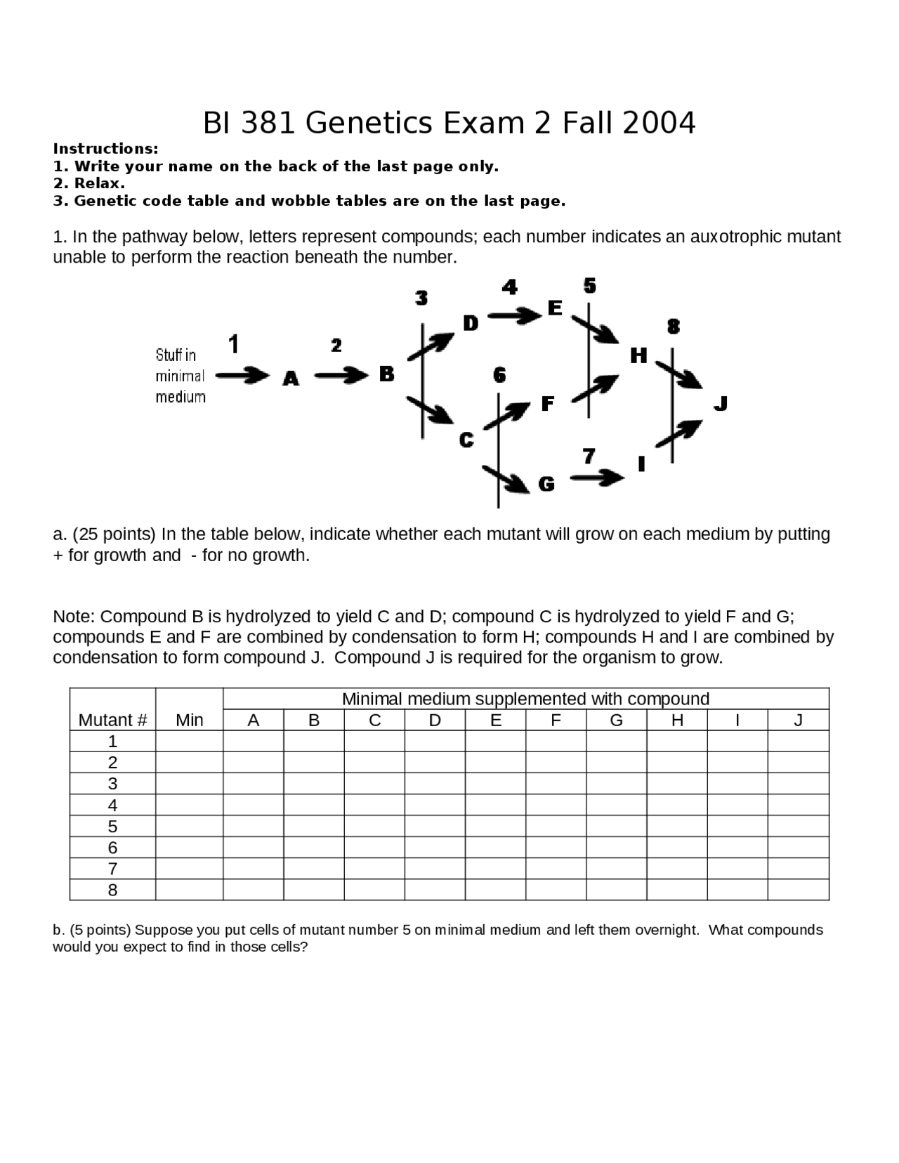 Solved Problems On The Molecular Genetics Exam 2 Bi 381 Docsity