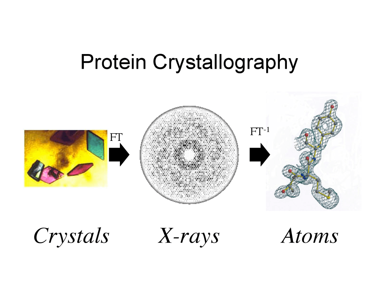 Protein Crystallography Lecture Slides Bcbp 4870 Docsity