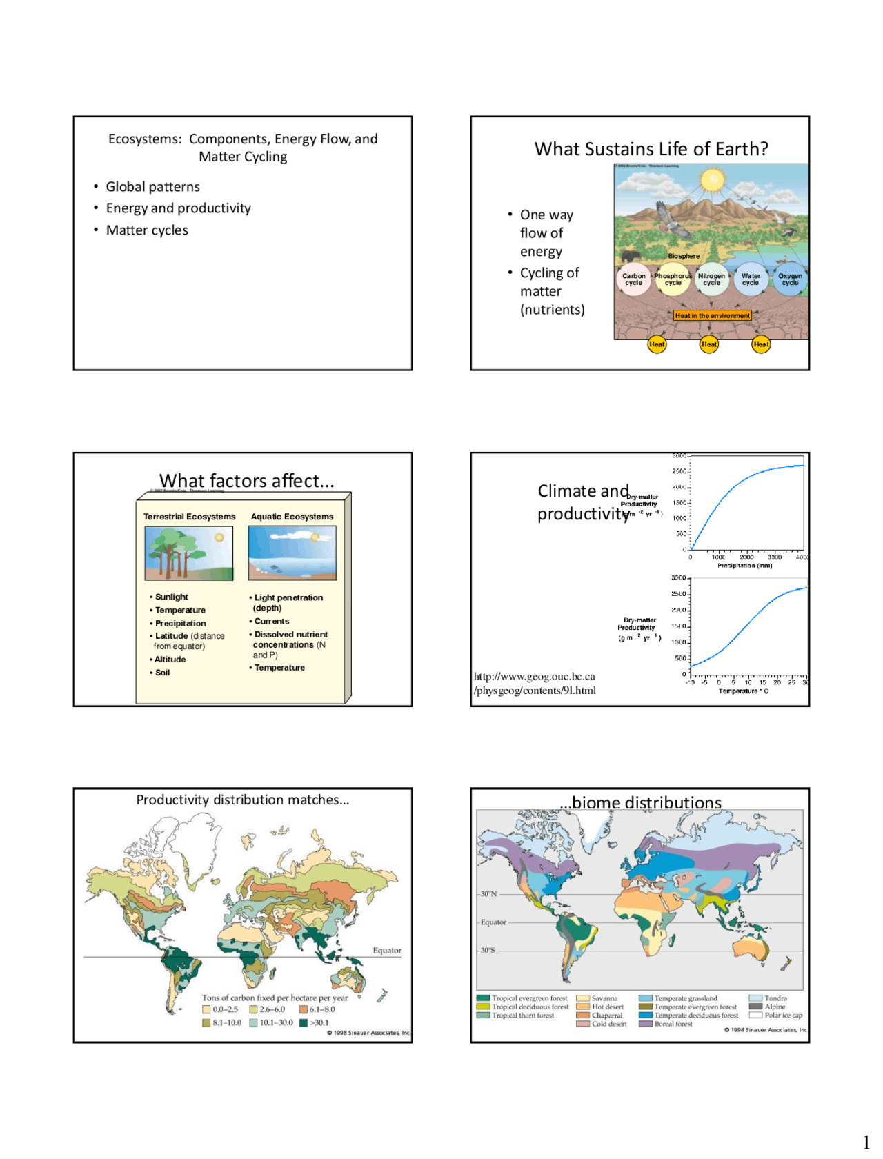 Ecosystems: Components, Energy Flow and Matter Recycling - Lecture ...