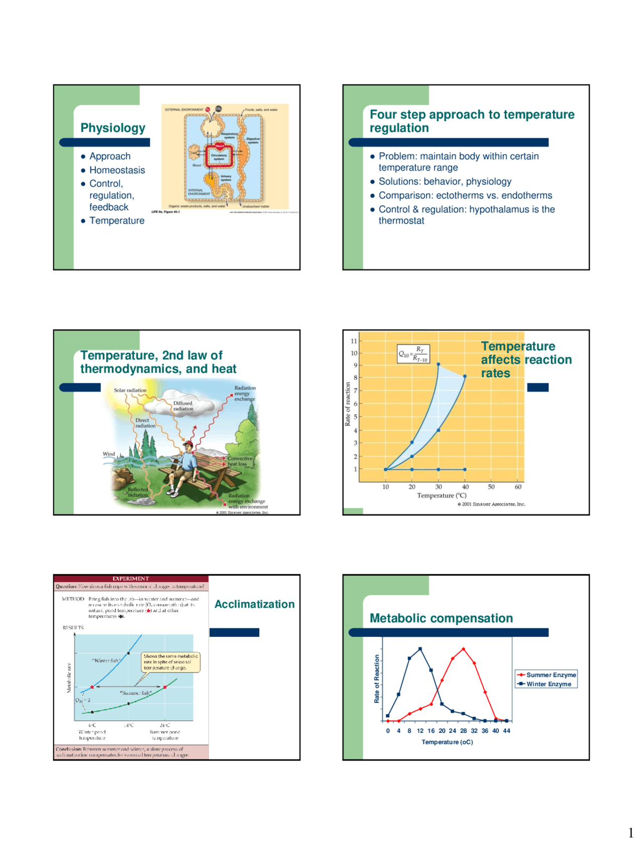 Physiology Slides For Organisms Evolution And Ecosystems Bio 112