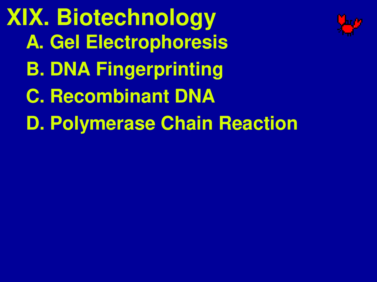 Lecture Slides On Biotechnology Gel Electrophoresis Bio 1040 Docsity