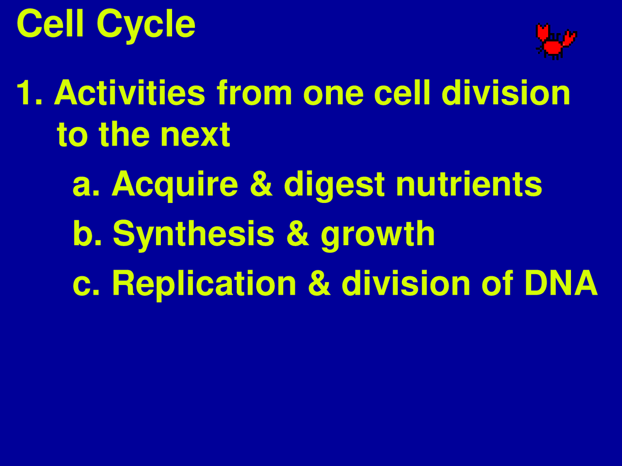Cell Cycle Synthesis And Growth Lecture Slides Bio 1040 Docsity