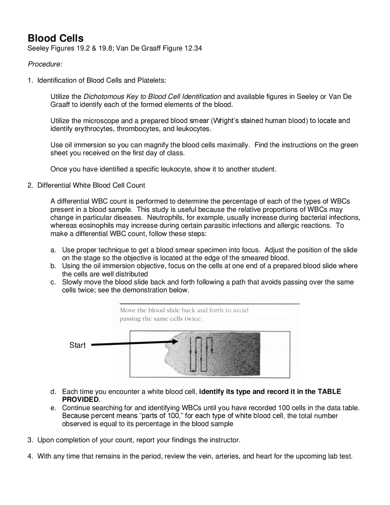 Blood Cells in Anatomy and Physiology I - Lab | BIO 2330 - Docsity