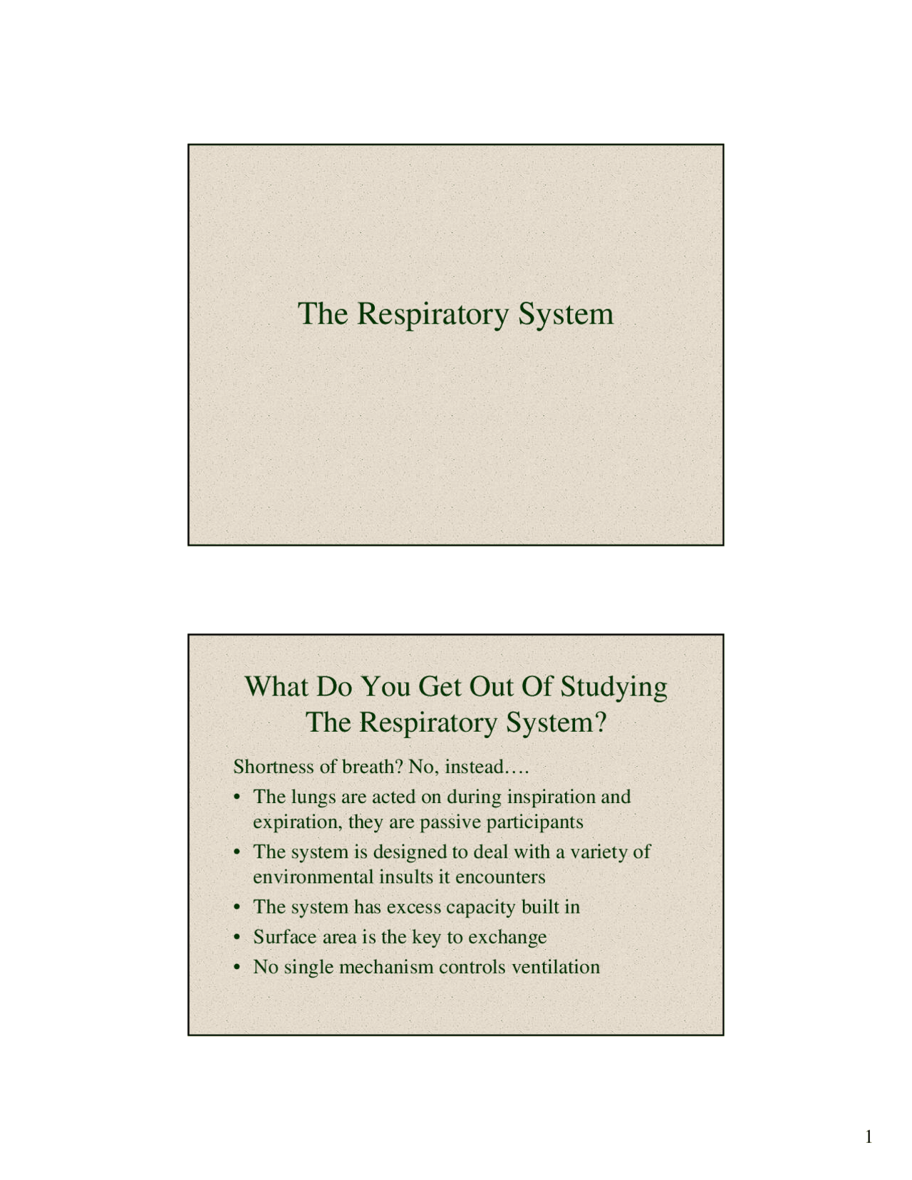 Lecture Slides On The Respiratory System Bio 2330 Docsity