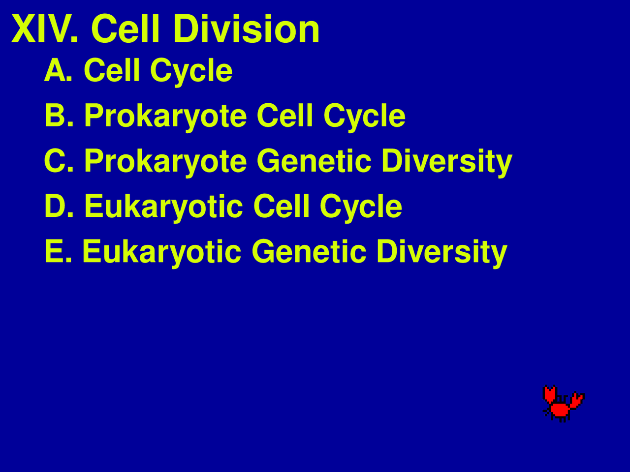 Cell Cycle Of Prokaryotes And Eukaryotes Lecture Slides Bio 1040