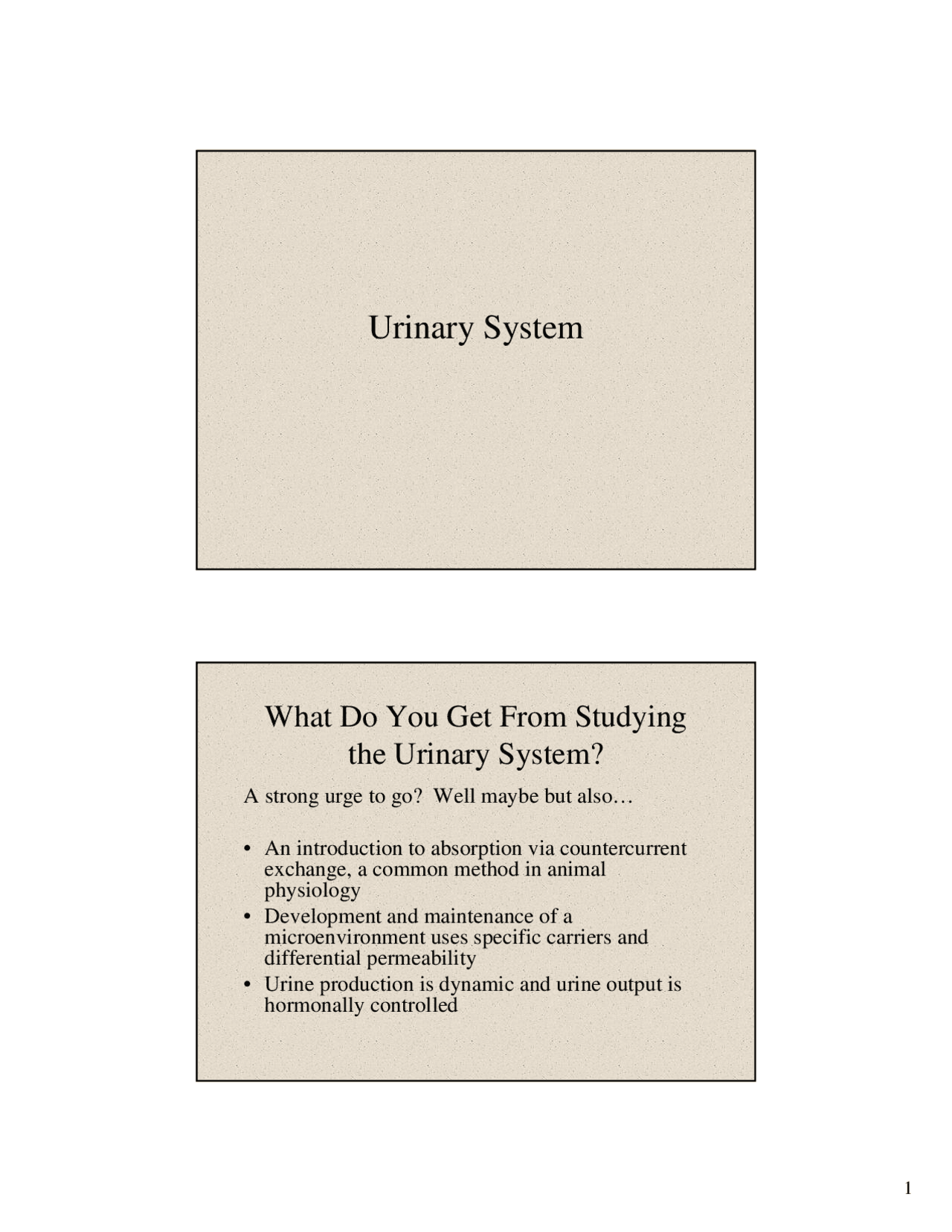 Urinary System - Anatomy and Physiology I - Lecture Slides | BIO 2330 ...