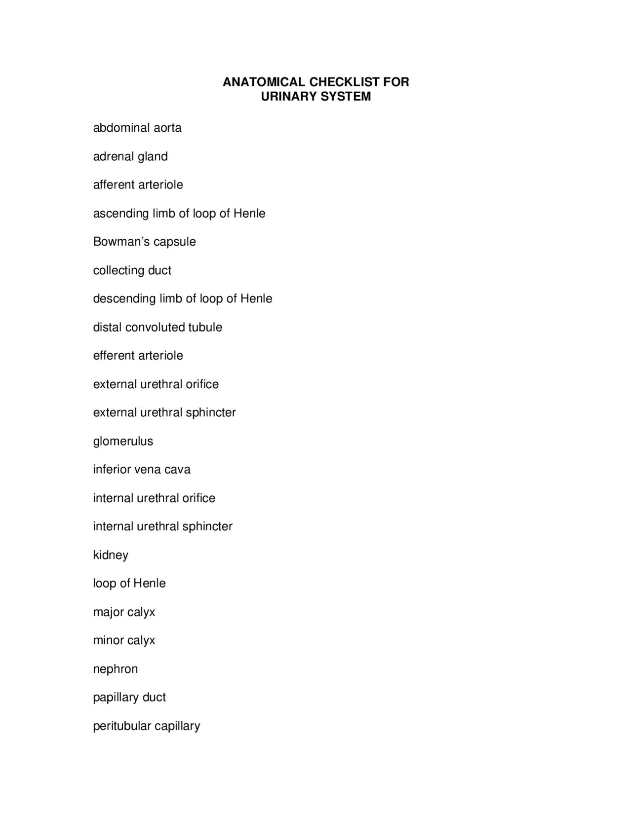 Anatomical Checklist for Urinary System | BIOL 2020 - Docsity