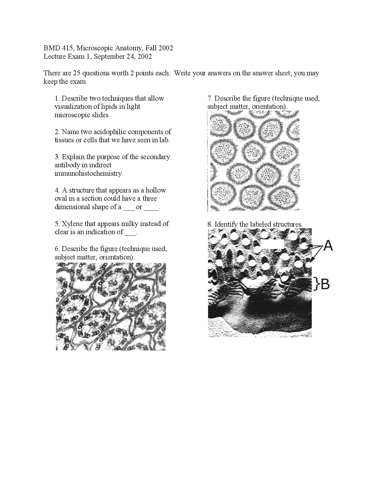 23 Questions In Microscopic Anatomy Exam 1 Bmd 415 Docsity