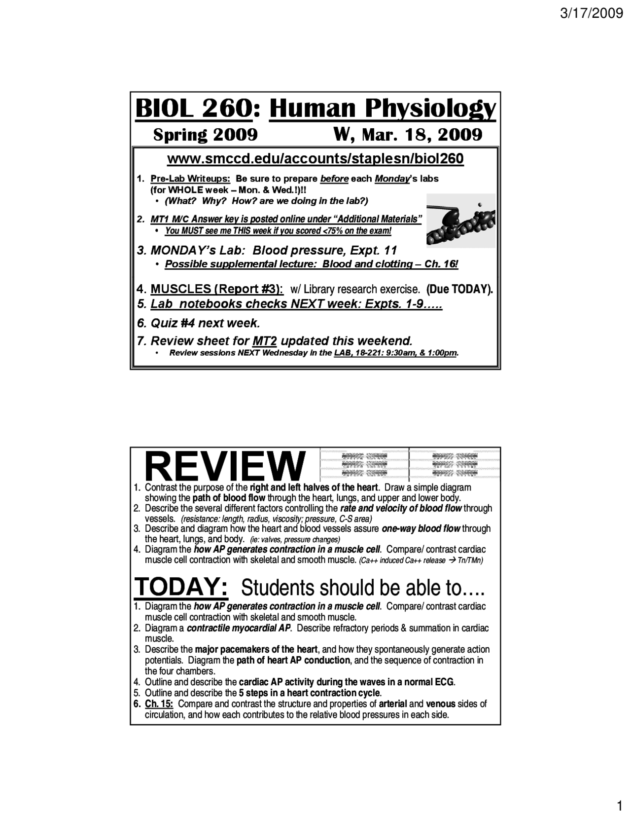Modulation of Contraction, Cardiac Muscle Contraction, Autorhythmic ...