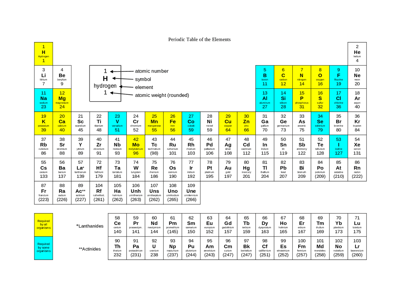 The Periodic Table of Elements in the Precalculus | BIOL 1215 - Docsity
