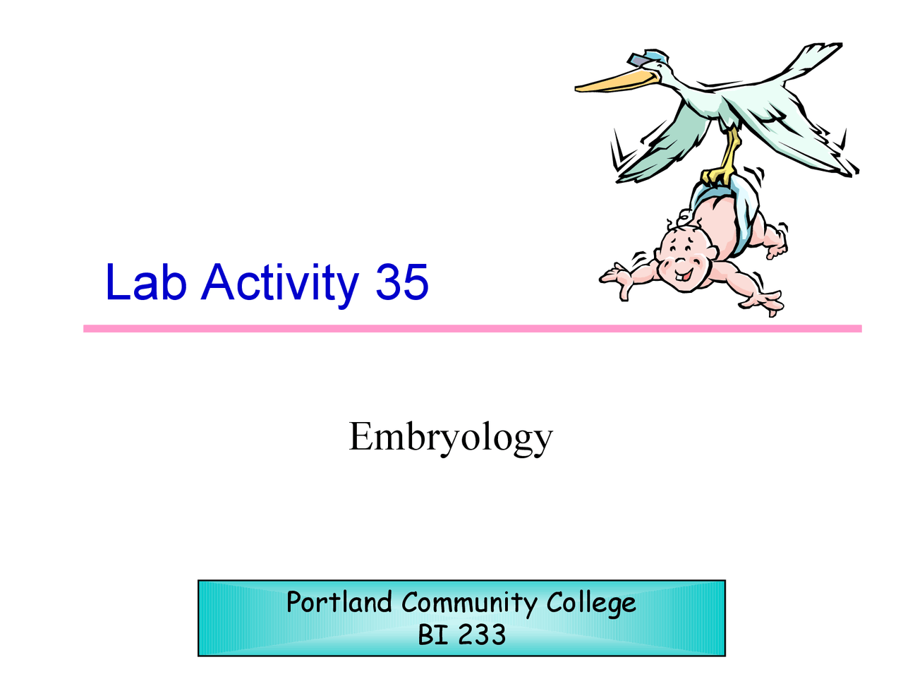 Introduction to Embryology of Human Anatomy and Physiology IlI | BI 233 - Docsity