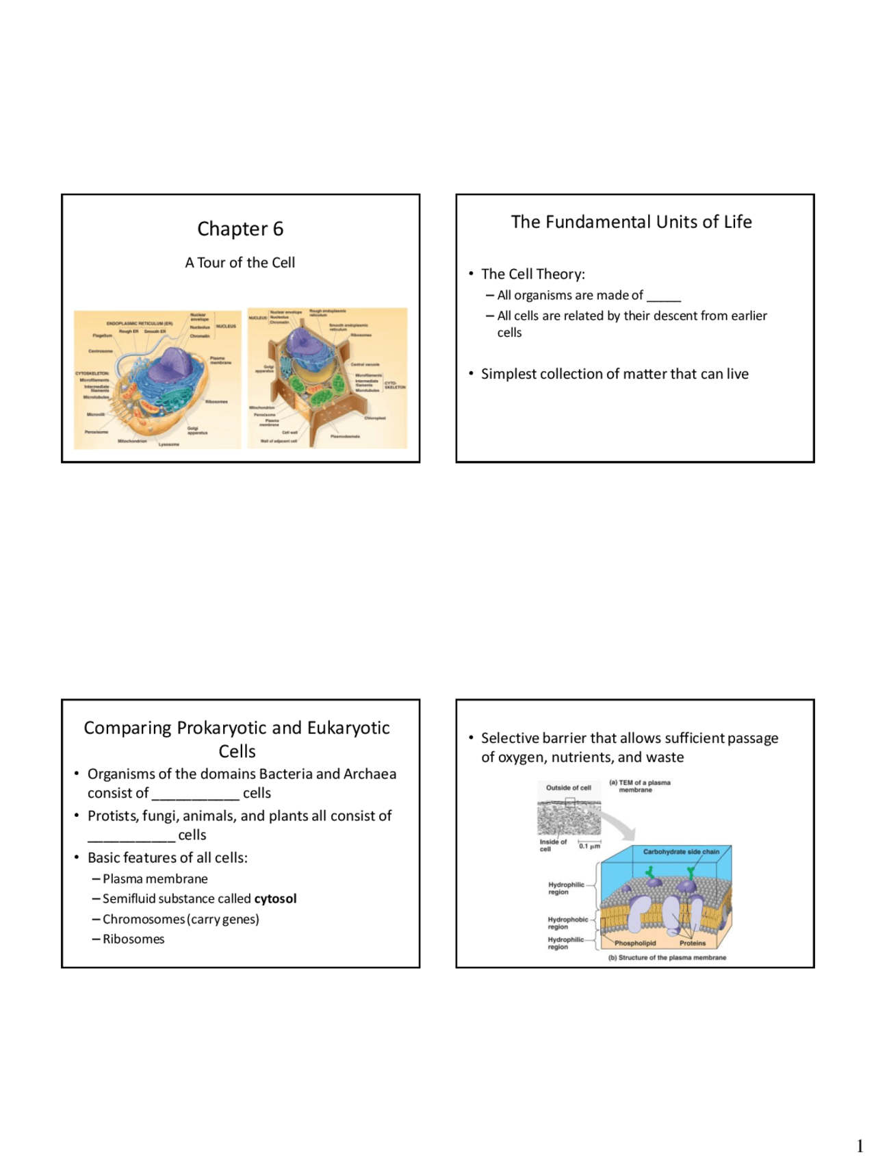Lecture Slides On A Tour Of The Cell General Botany Bio 120 Docsity