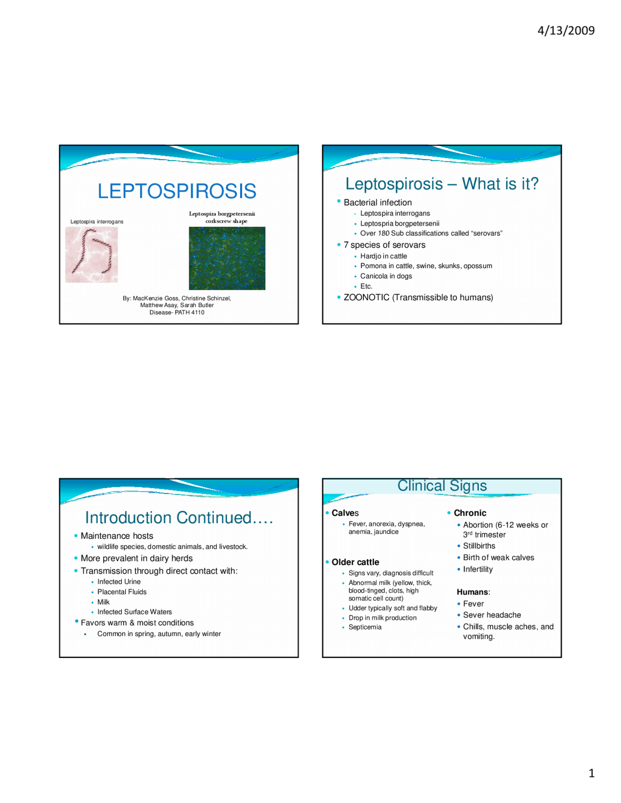 Leptospirosis What Is It Lecture Slides Patb 4110 Docsity