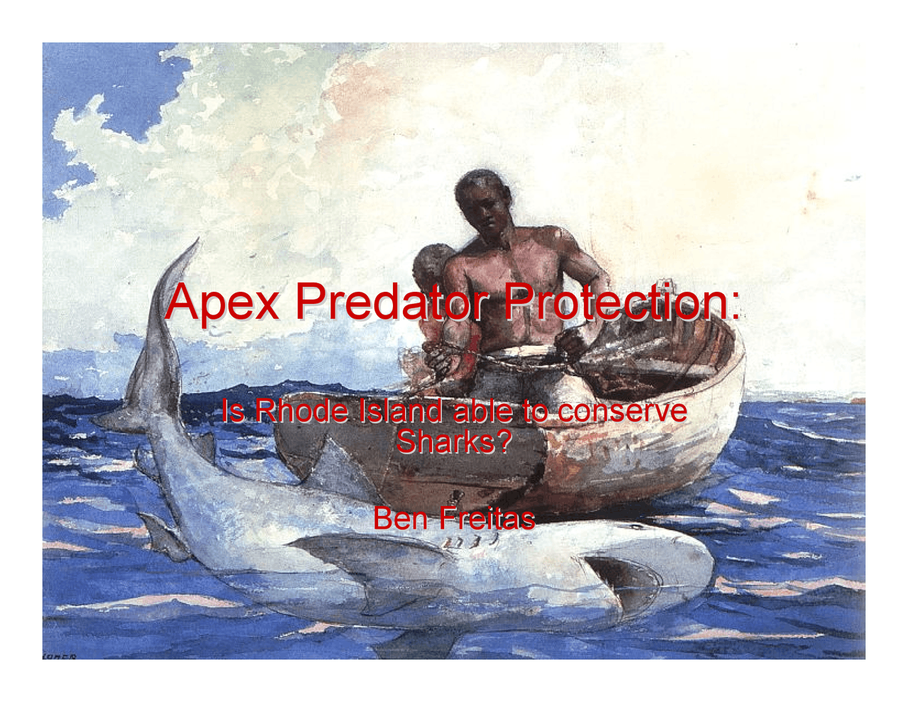 Apex Predator Protection: Is Rhode Island Able to Conserve Sharks ...