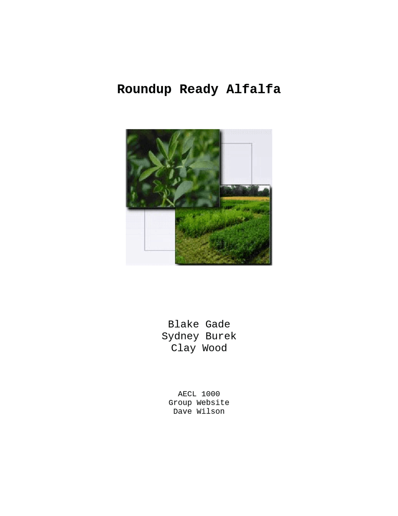 Project For Agroecology Wilson Uw Roundup Ready Alfalfa Docsity