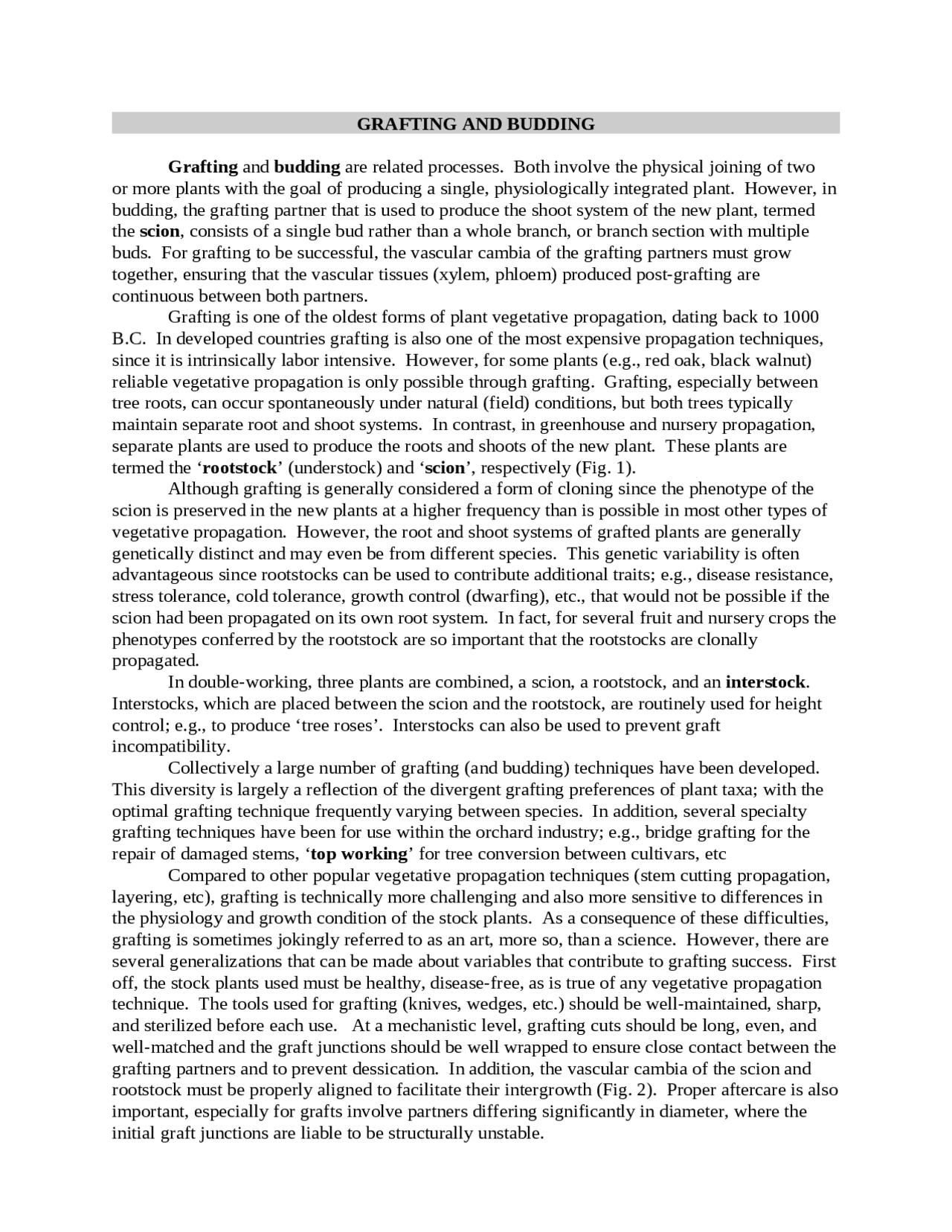 Lecture Notes On Grafting And Budding Hort 101 Docsity