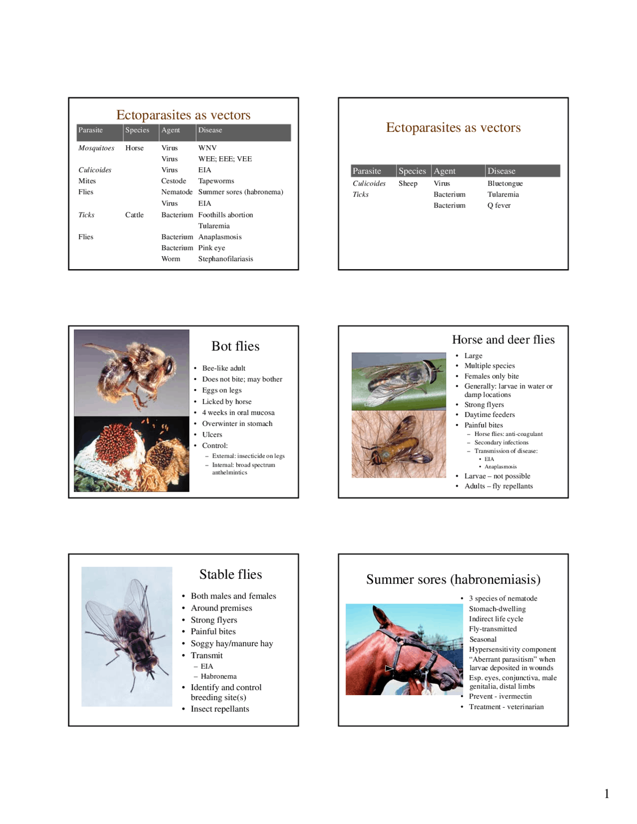 The Ectoparasites As The Vectors Lecture Slides Patb 4110 Docsity