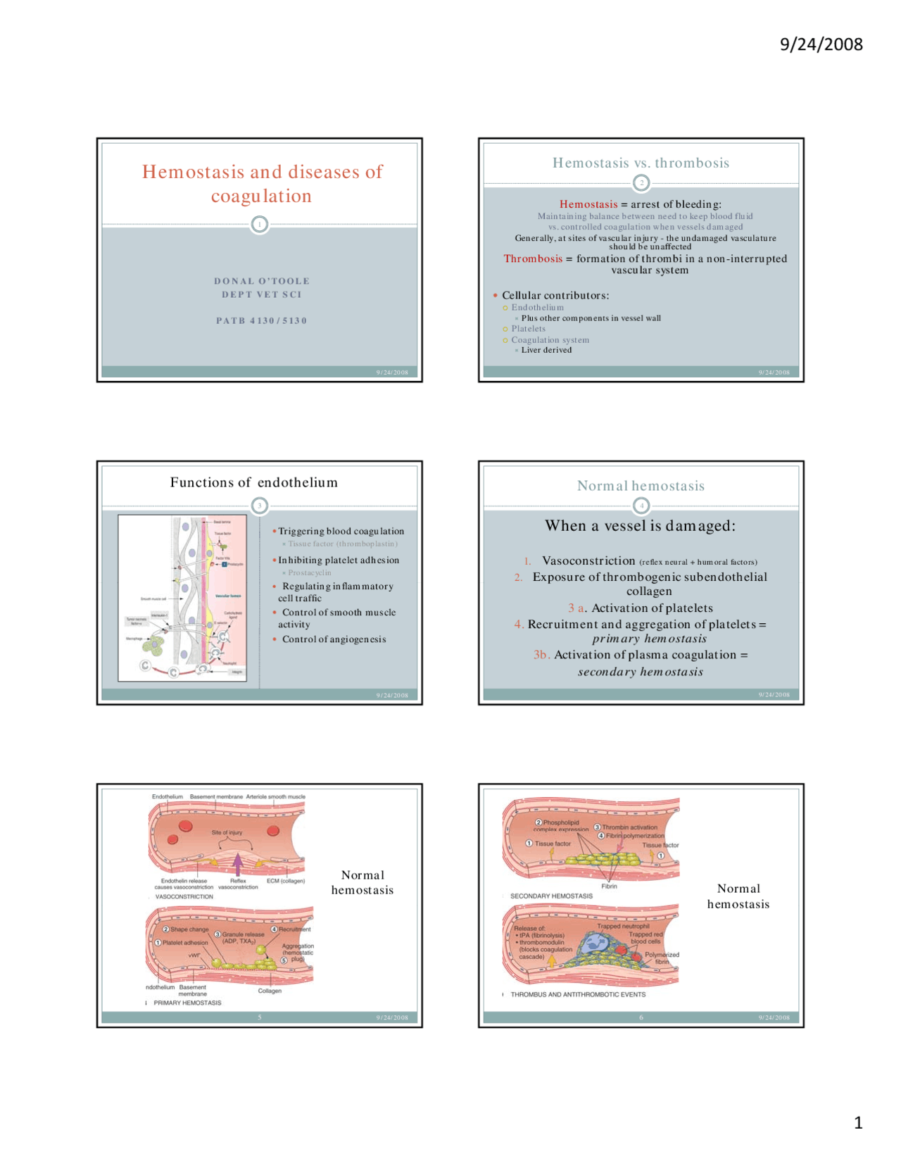 Hemostasis And Disease Of Coagulation Lecture Slides Patb 4130