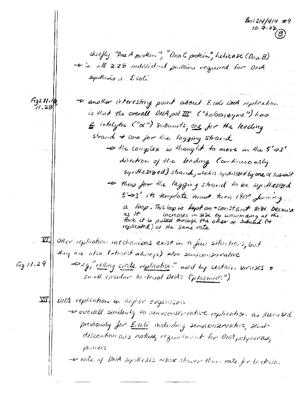 DNA Replication Process - Handwritten Notes | BIOL 214 | Study notes ...
