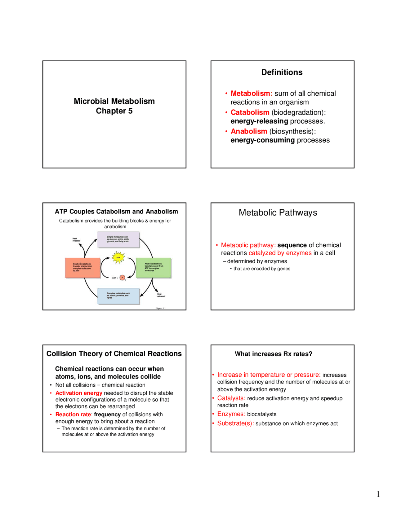 Lecture Slides On Microbial Metabolism Bios 213 Docsity