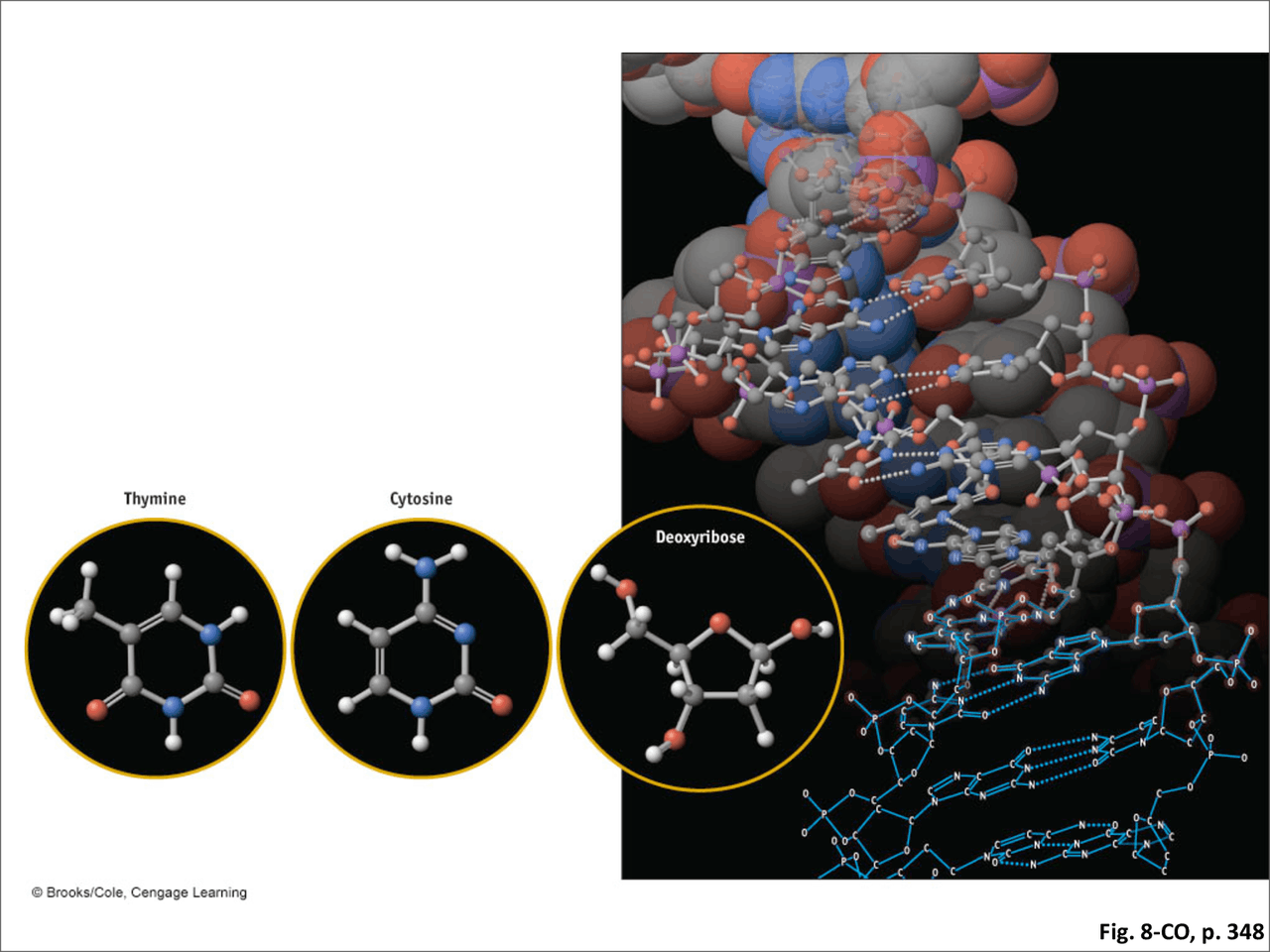 Covalent Bonding - Lecture Slides | CHEM 111 | Study notes Chemistry ...