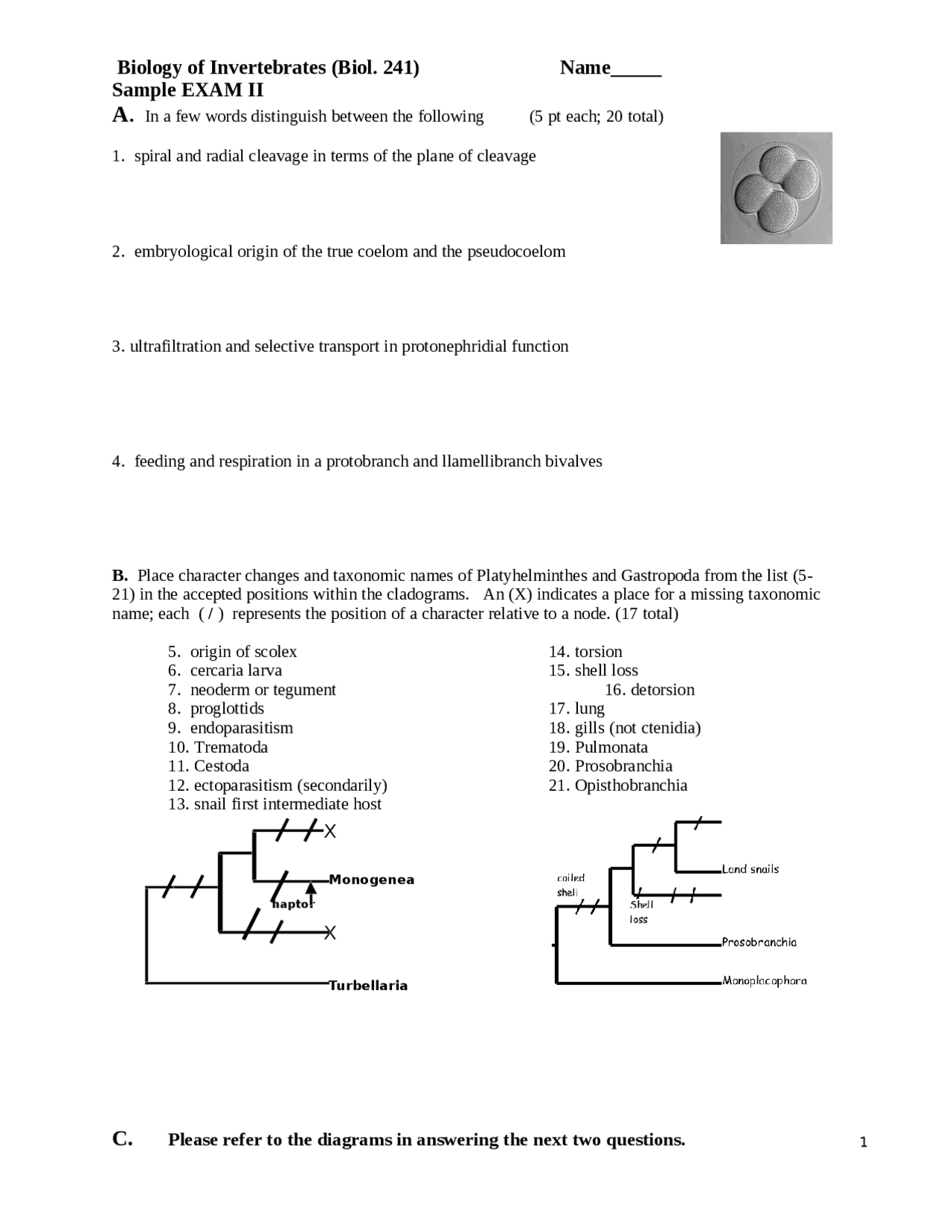 29 Questions Of Biology Of Invertebrates Exam Ii Biol 241 Docsity