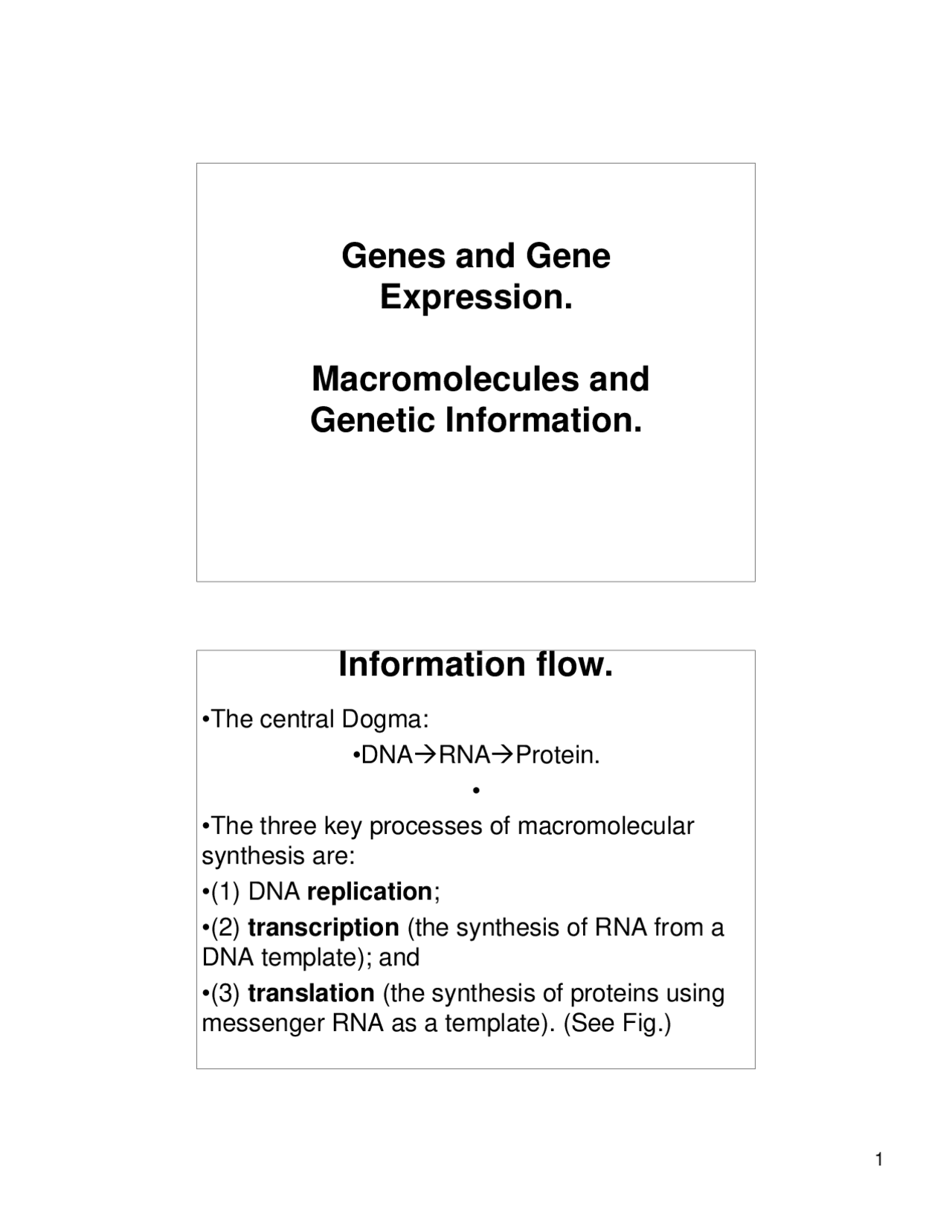 Genes and Gene Expression for Microbiology | BIOS 313 - Docsity