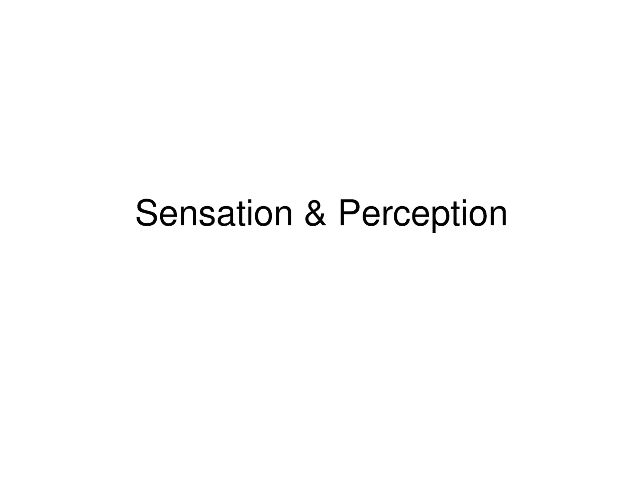 Sensation And Perception Lecture Notes Psyc 101 Docsity