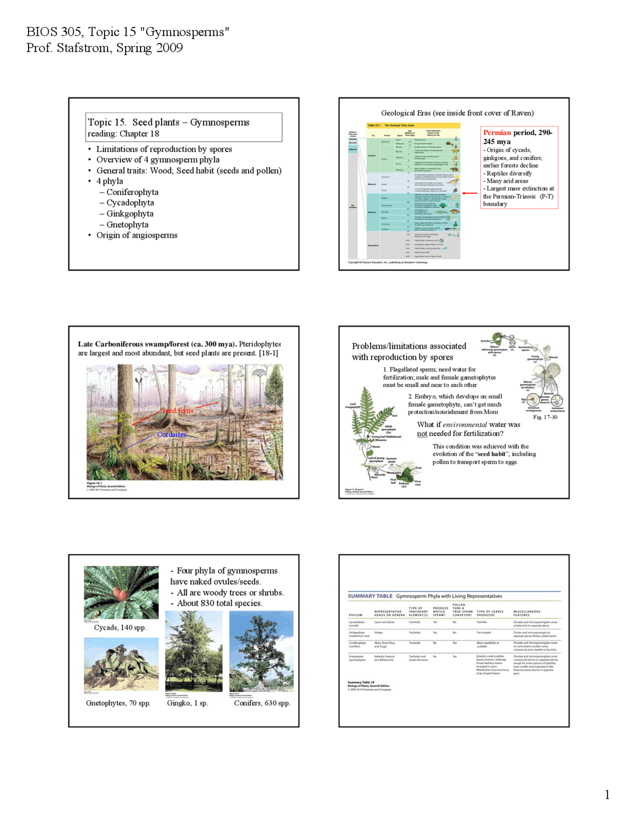 Seed Plants And Gymnosperms Lecture Slides Bios 305 Docsity