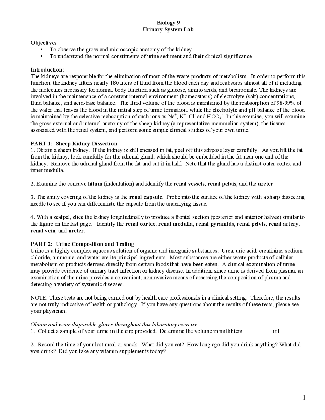 Study of Urinary System - Human Biology - Lab | BIO 9 - Docsity