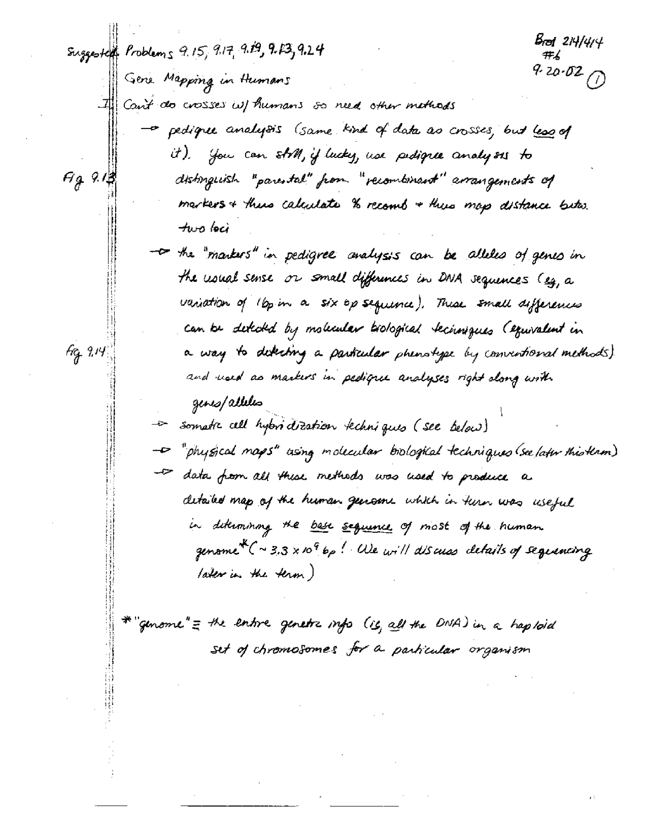 Handwritten Notes On Gene Mapping In Humans Genetics Biol 214 Docsity