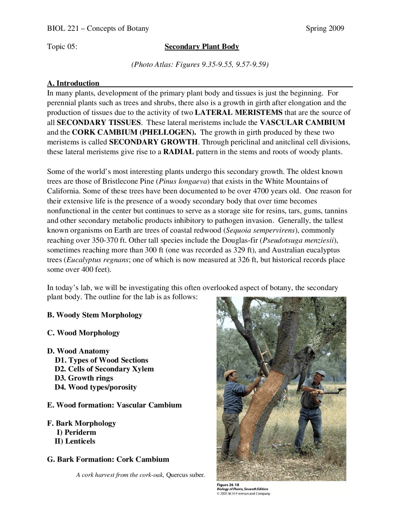 Secondary Plant Body Laboratory Experiment Biol 221 Docsity
