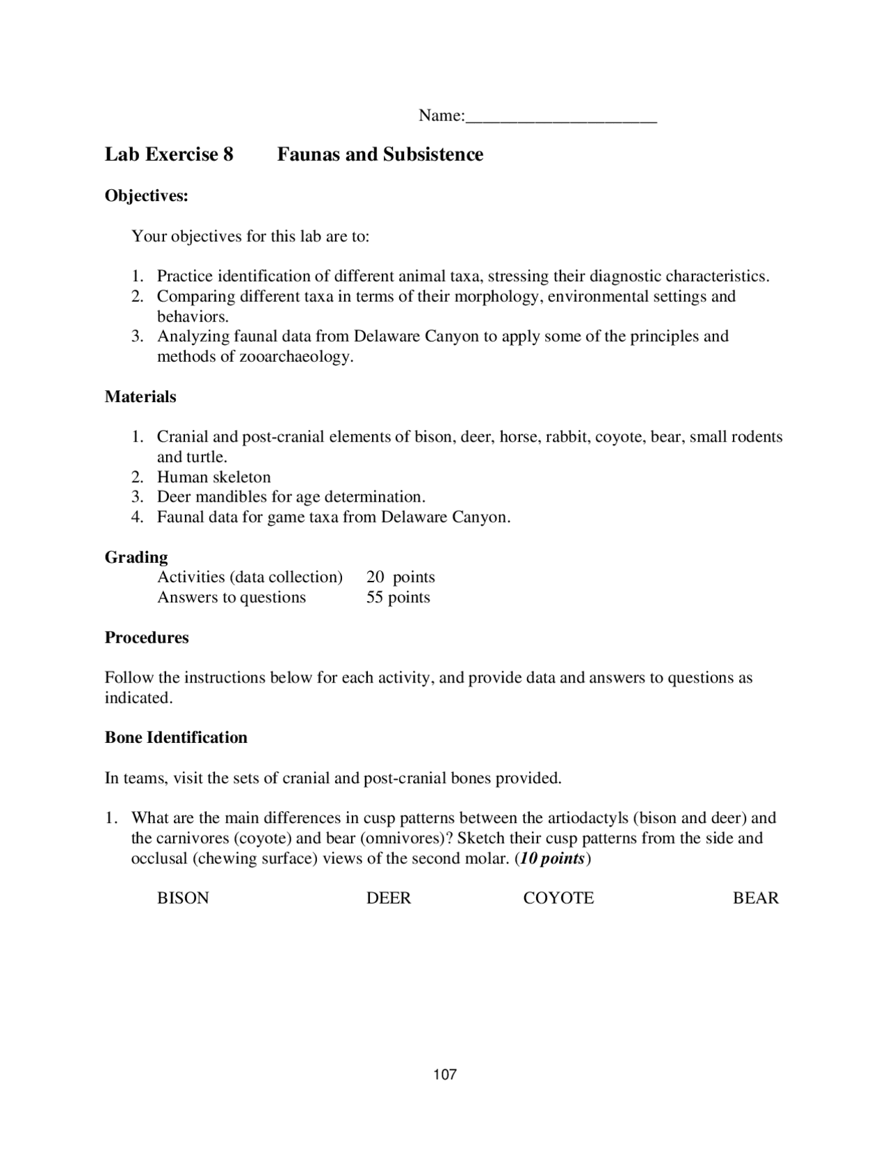 Faunas and Subsistence - Lab Exercise 8 | ARCH 2800 - Docsity