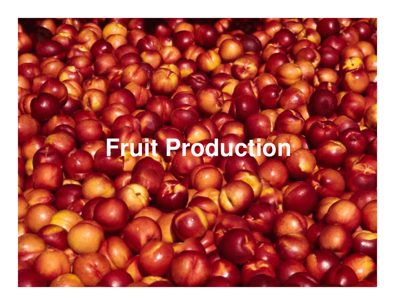 Pomology: Fruit and Nut Production, Types of Fruit | PLSC 201 - Docsity